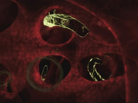 Prime Video Monsters Inside Me Season 1