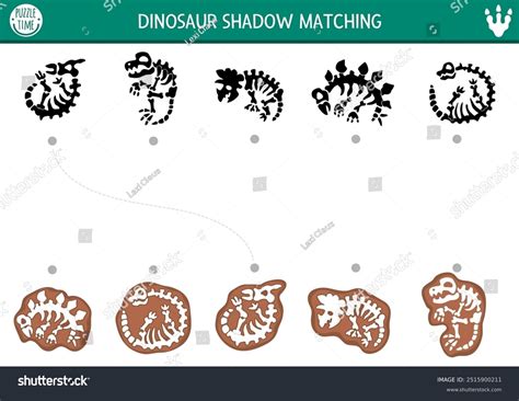 화석 뼈와 공룡 그림자 일치 활동 스톡 벡터로열티 프리 2515900211 Shutterstock