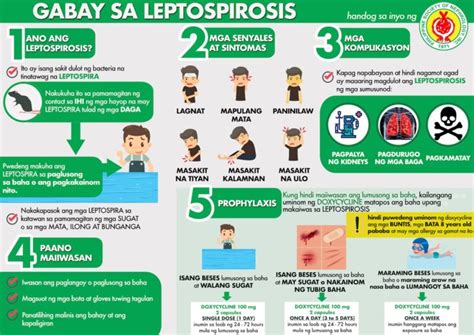 Gabay Sa Leptospirosis Philippine Society Of Nephrology