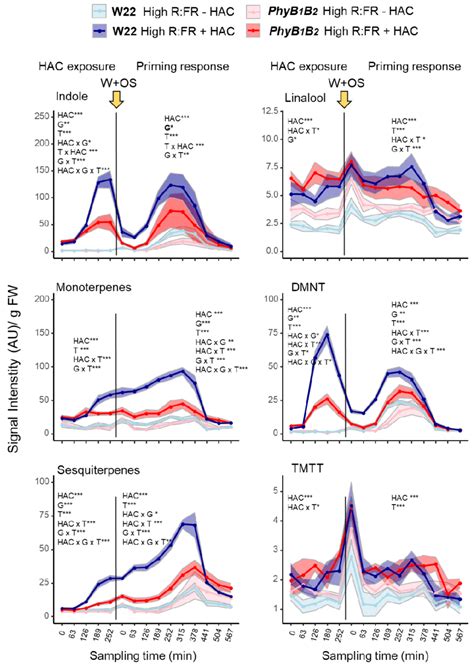 Inactivation Of Phyb Reduces Rather Than Enhances Maize Volatile Download Scientific Diagram