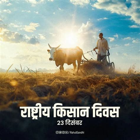 Narendra Patel Narendrapatel Inc • Instagram Photos And Videos