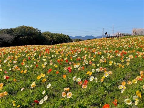 【2023年4月】万博記念公園で開催予定の主なイベント情報をまとめました！ 「enjoy Expo」〜万博記念公園エリアの地域情報サイト