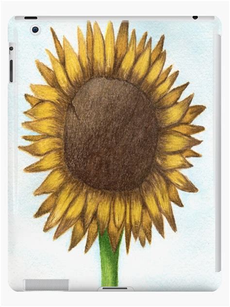 Total 100 Imagen Girasol Lapiz Abzlocal Mx