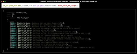 Yaralyzer Visually Inspect And Force Decode Yara And Regex Matches