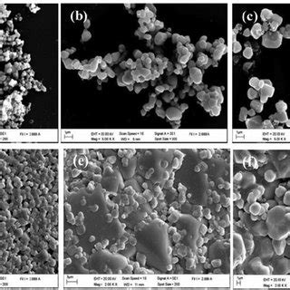 SEM Photographs Of The Powders Calcined At A C B C Download Scientific Diagram