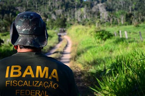 Concurso Ibama Descubra Aqui O Que O Instituto Faz
