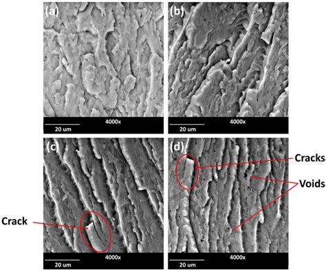 Sem Micrographs Of Impact Fractured Surfaces Of A Neat Pbt B Download Scientific Diagram