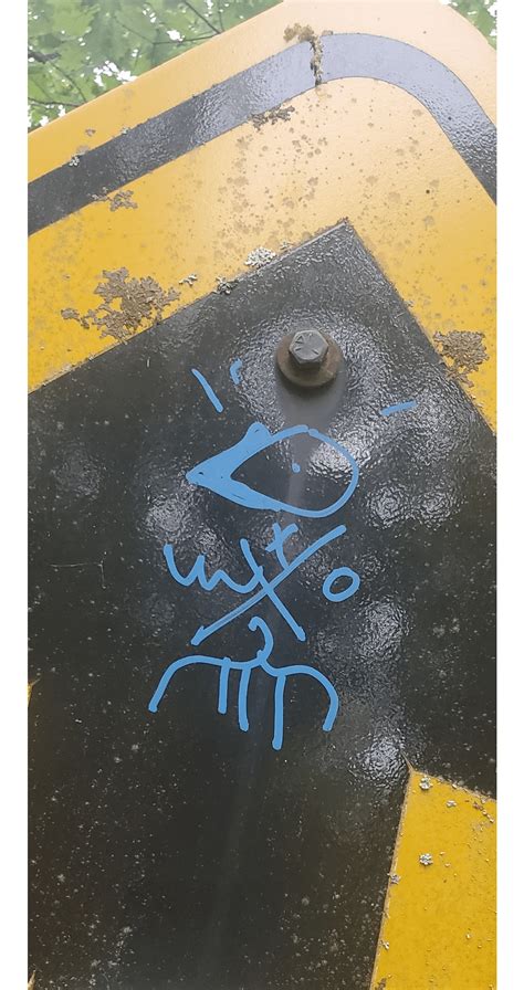 My Buddy Sent Me These On A Trail That He Frequents And We Cant Figure