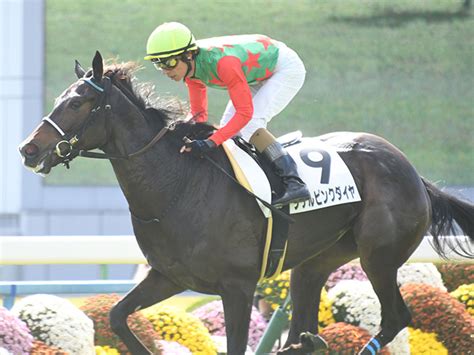 【次走】桜花賞2着シゲルピンクダイヤはオークスへ 競馬ニュース Netkeiba