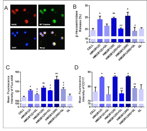 Figure 3 From Glycyrrhizin Ameliorates Atopic Dermatitis‐like Symptoms