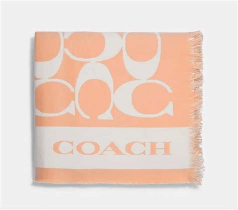 Un sueño para las amantes de Coach precios desde dólares con rebajas de hasta el