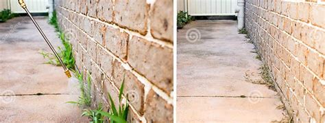 Spraying Weed Killer Herbicide To Control Unwanted Plants And Grass On