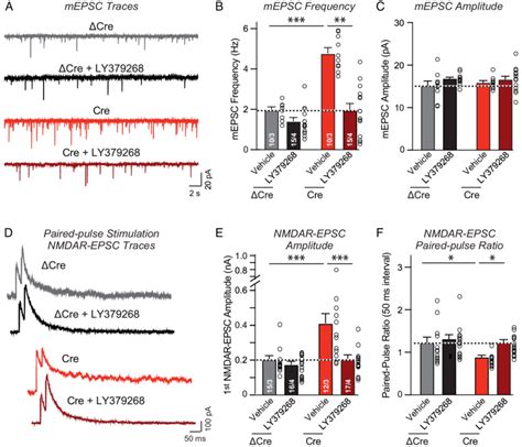 The Mglur2 Agonist Ly379268 Reverses The Enhancement Of Synaptic