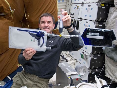 Curiosos Experimentos De La NASA