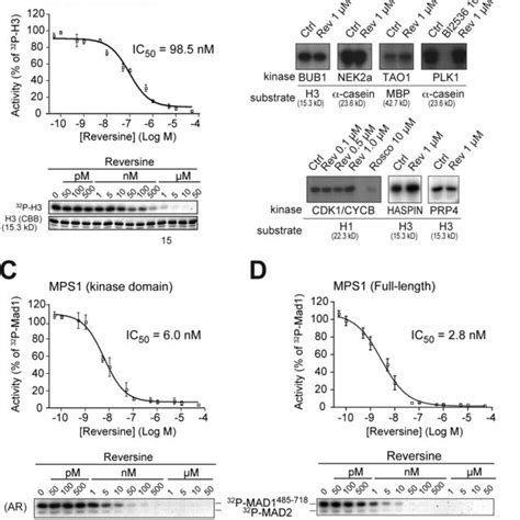 Reversine Inhibits Mps1 In Vitro A A Kinase Assay On The Human