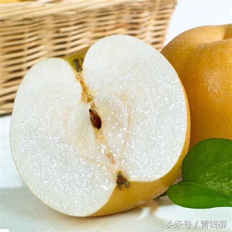 山東齊河富硒梨優質豐產栽培技術 每日頭條