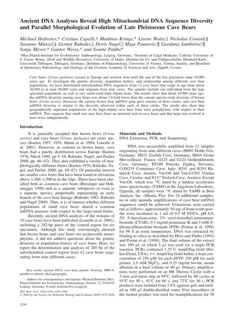 Pdf Ancient Dna Analyses Reveal High Mitochondrial Dna Sequence Diversity And Parallel