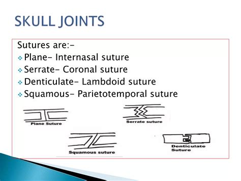 Osteology Of Head N Neck Ppt 1 Ppt
