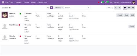 Live Chat Odoo 17 Community Book
