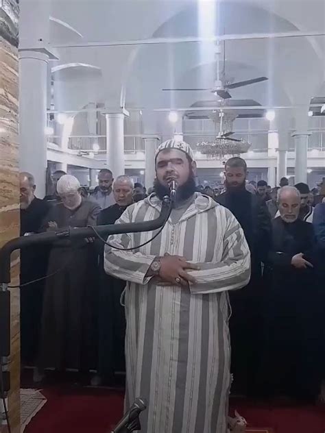صحيفة عاجل On Twitter قطة تعتلي كتف إمام مسجد بـ الجزائر شاهد رد