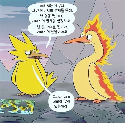 포켓몬 전기가 왜 전설의 새 포켓몬이야 에펨코리아
