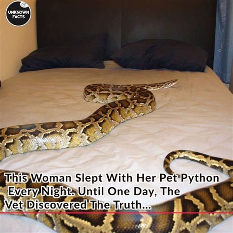 A Large Snake Is On Top Of A Bed With The Caption This Woman Slept With Her Pet Python Every