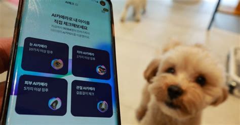 인공지능이 분석해 건강 이상 여부 체크