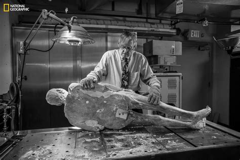 Why One Woman Agreed To Become An Immortal Corpse For Science Top