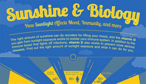What Is The Difference Between Vitamin D2 And Vitamin D3 Hrf