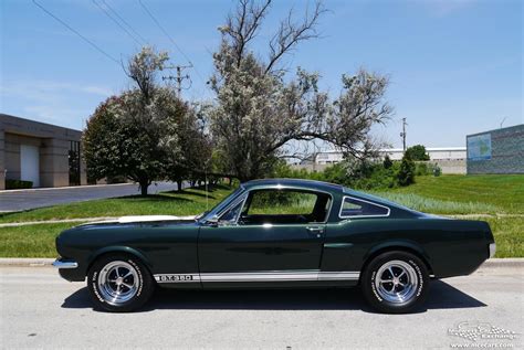 1965 Mustang Fastback Shelby