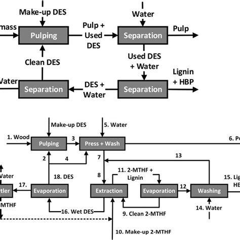 The Input Output Structure Of The Conceptual Process Download Scientific Diagram