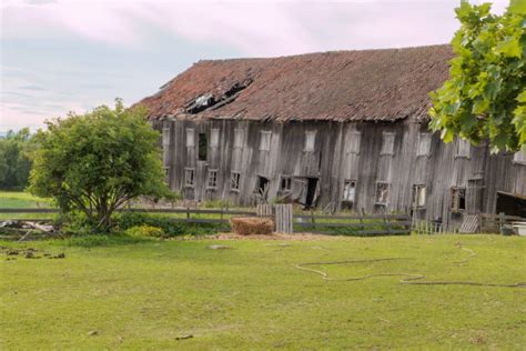 160개 이상의 St Olavsleden Pilgrimage 스톡 사진 그림 및 Royalty Free 이미지 Istock