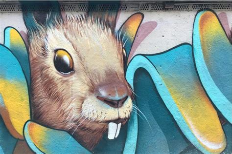 Interesting Facts About Bunny Teeth Dentist In Overland Park