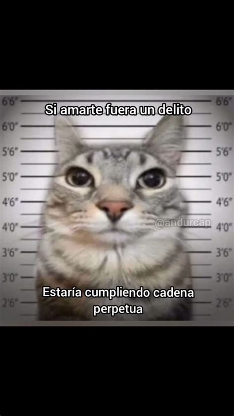 A N D U R Así Es Jeje Fypシ゚ Fyp Reels Paratii Foryou