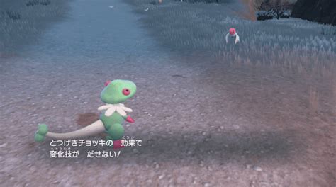 【ポケモンsv】とつげきチョッキの効果と入手方法｜使い道【スカーレットバイオレット】 神ゲー攻略