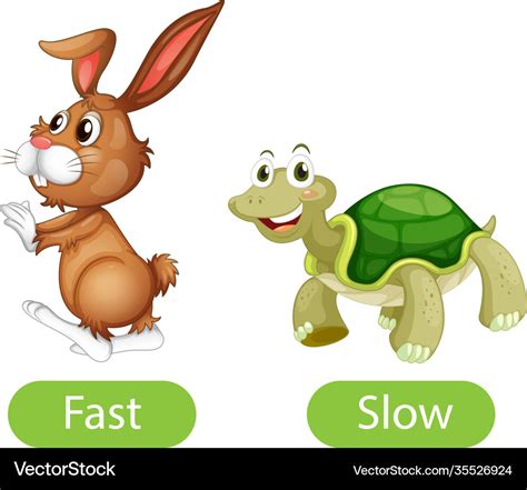 Opposite Adjective Words With Fast And Slow Vector Image