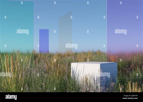 Product Display Podium On Natural Grass Or Weed Field Garden With