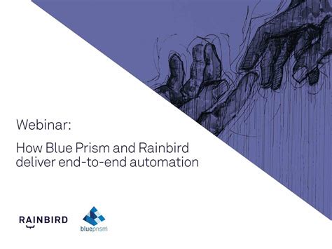 Blue Prism Rainbird Integration Demo