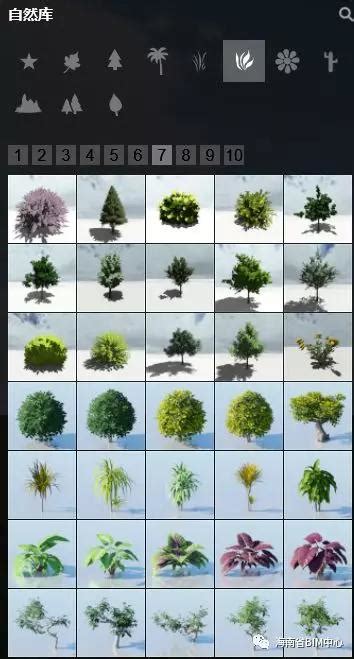 Lumion最全素材库合集下载（赠送50g教程合集） 植物