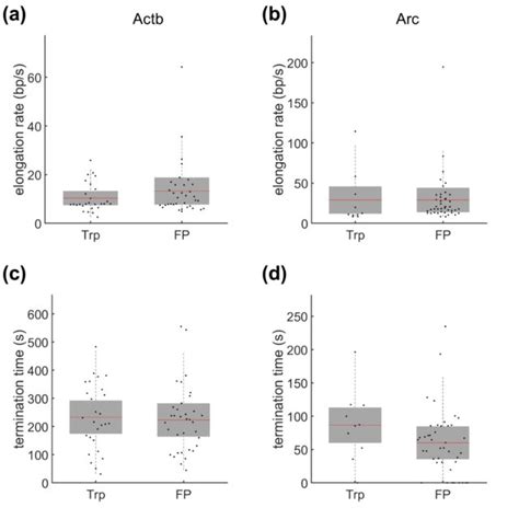 Imaging Transcription Using Ms2 And Pp7 Stem Loop Systems A B