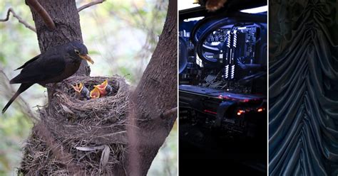 List Nestjs Restapi Curated By Aiya Aiyara Medium