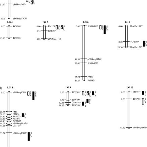 Genetic Linkage Map Based On Tag 24 × Gpbd 4 Population Showing Qtl