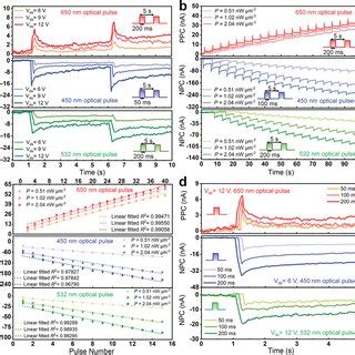 Wavelengthdependent Bipolar Photoconductivity Of The Retinainspired