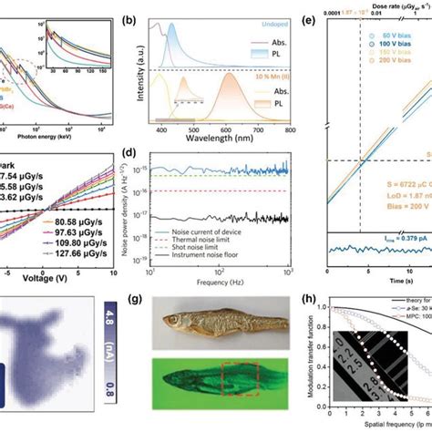 Performance Of X‐ray Detectors Under X‐ray Irradiation A Linear
