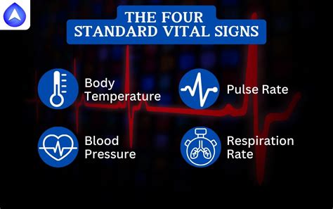 What Are Vital Signs? Key Indicators of Health and Wellness