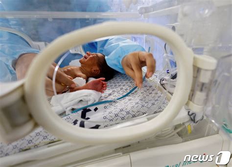 포토 가자지구 병원 인큐베이터에 누워있는 신생아 뉴스1