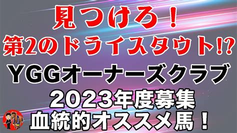 【募集馬検討】yggで募集馬検討！ドライスタウトっぽい馬を探すのが良い？？ Youtube