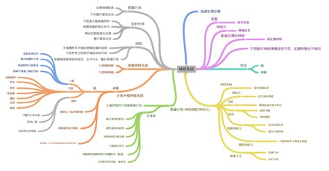 神經系統 Coggle Diagram