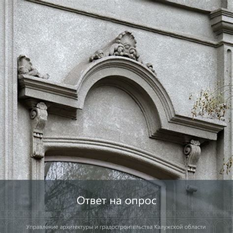 Сандрик виды (67 фото) - красивые картинки и HD фото