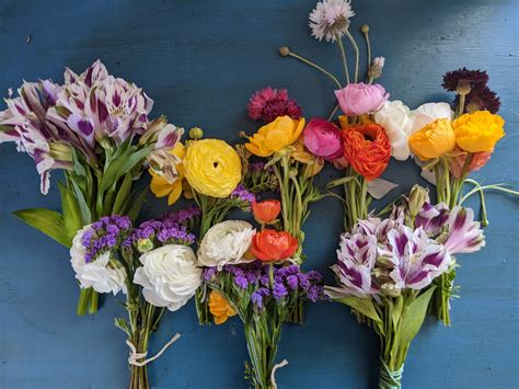 Small Shells “bundles” Maritime Flowers